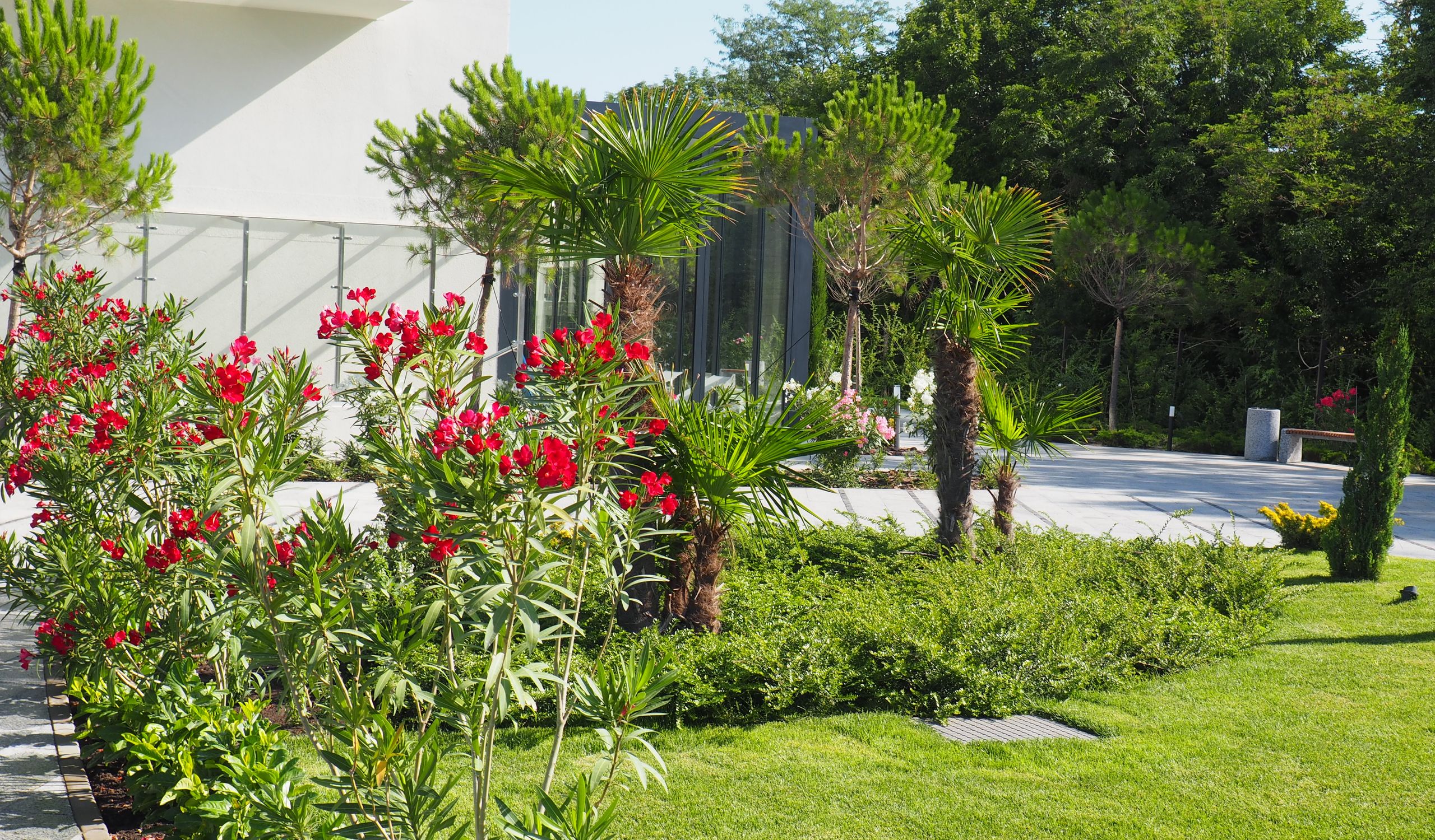 Отель Райморис - официальный сайт. Отдых на черном море. Геленджик. Бетта.